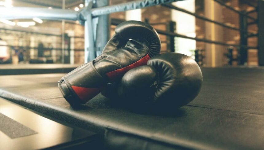 From the Gym to the Ring How to Choose the Right Boxing Gloves for Your ...